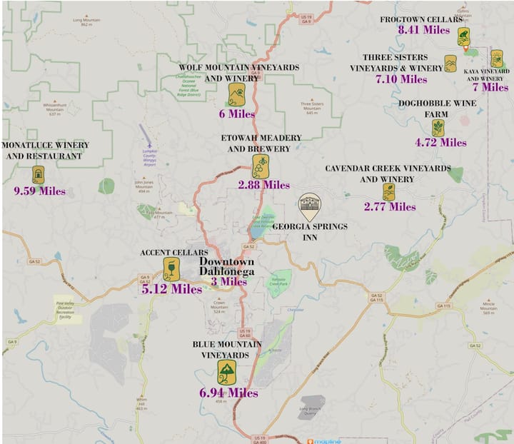 Premium Dahlonega Wine Retreat Near Vineyards Ga - Dahlonega, GA