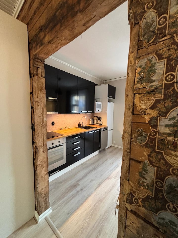 Historic Self-service Apt In Downtown Vaasa - Vaasa