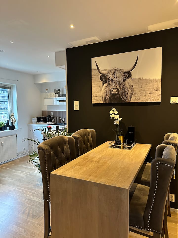 Møblert Leilighet Til Leie - Jevnaker