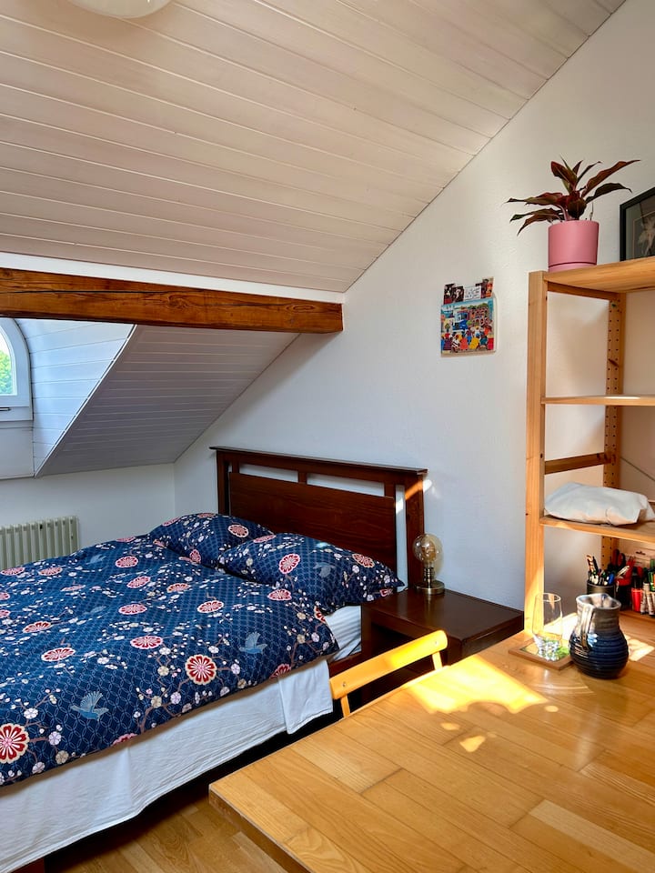 Comfortable Guest Room In Bern Apartment - Bern