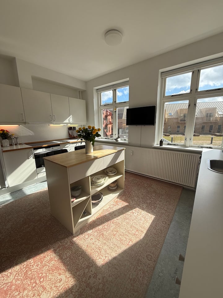 Stor Lejlighed Midt På Trøjborg - Aarhus