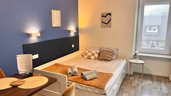 Studio Vue Montagne Dégagée - Chambon-sur-Lac