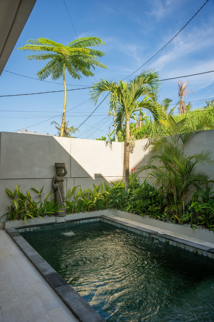 Nice 2br Villa With Private Pool - Sanur