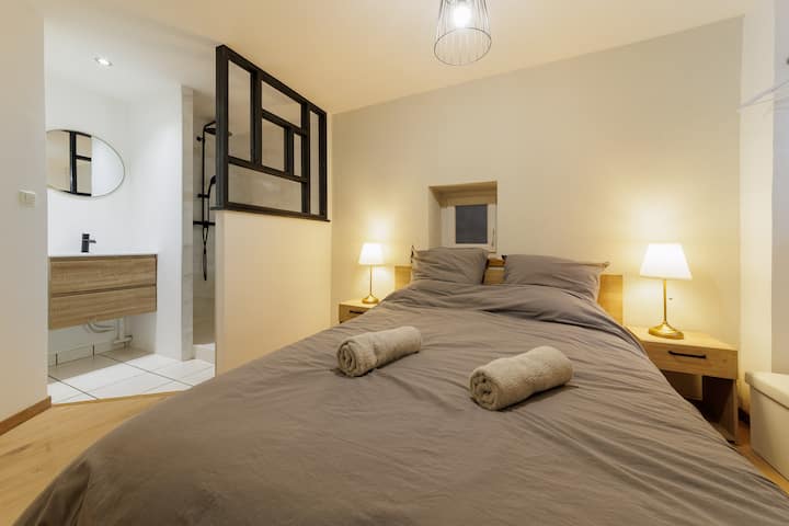 Appartement Hyper Centre Royat à 700m Des Thermes - Royat
