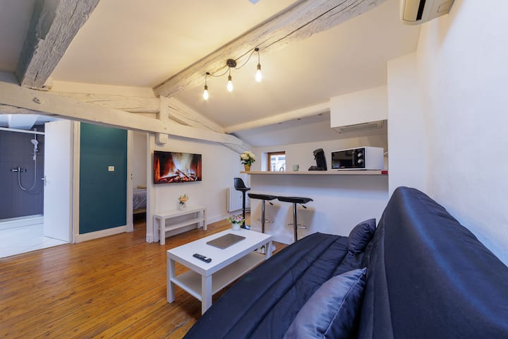 Appartement Authentique Centre Royat - Royat
