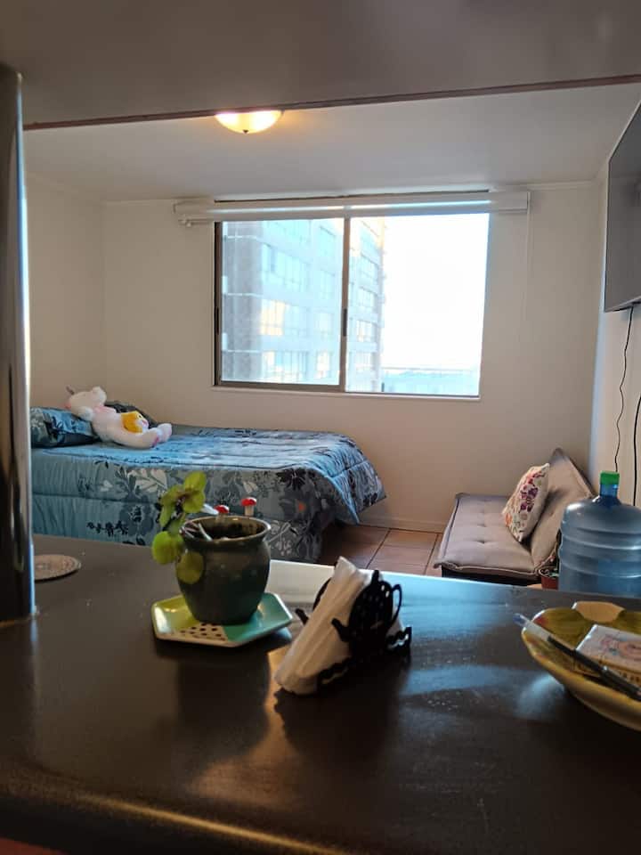 Departamento Central Para Familias Y Amigos - Macul