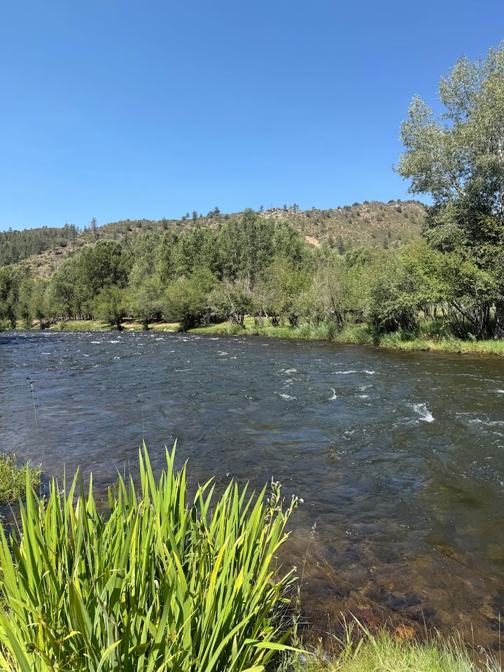 Los Pinos Fishing Cabin - Bayfield, CO