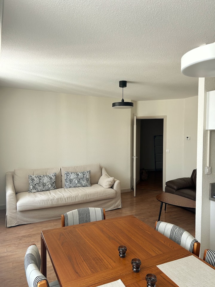 Grand Duplex Centre Ville - Roanne