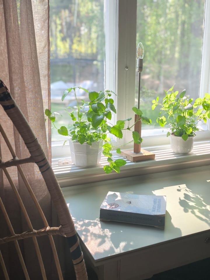 Skärvsta Gamla Skola - Sollefteå