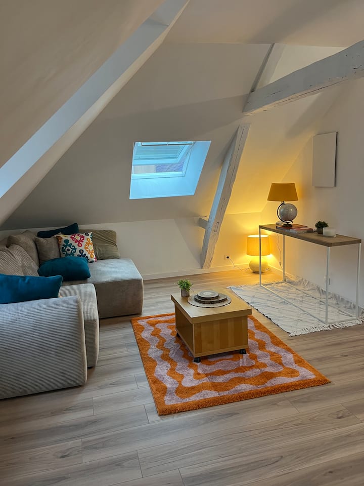 Appartement Centre Au Pied Tram - Le Mans