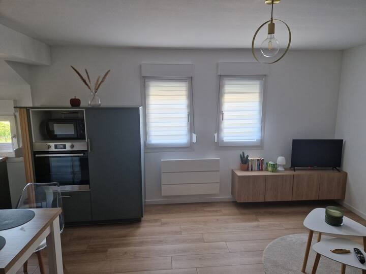 Appartement Cosy Et Tout éQuipé - Amneville - Zoo d'Amnéville