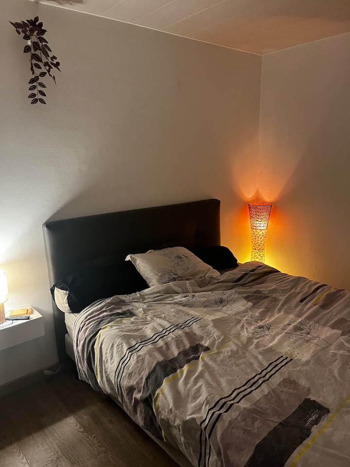 Logement Pour Une Colocation - Thionville