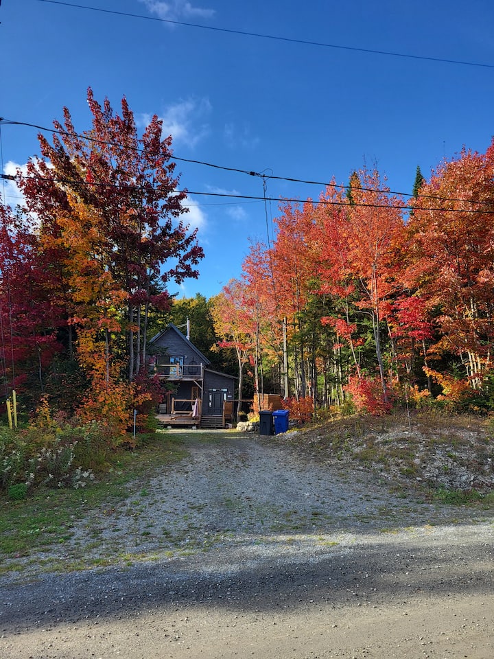 Magnifique Chalet Face Au Lac - Lac-Etchemin