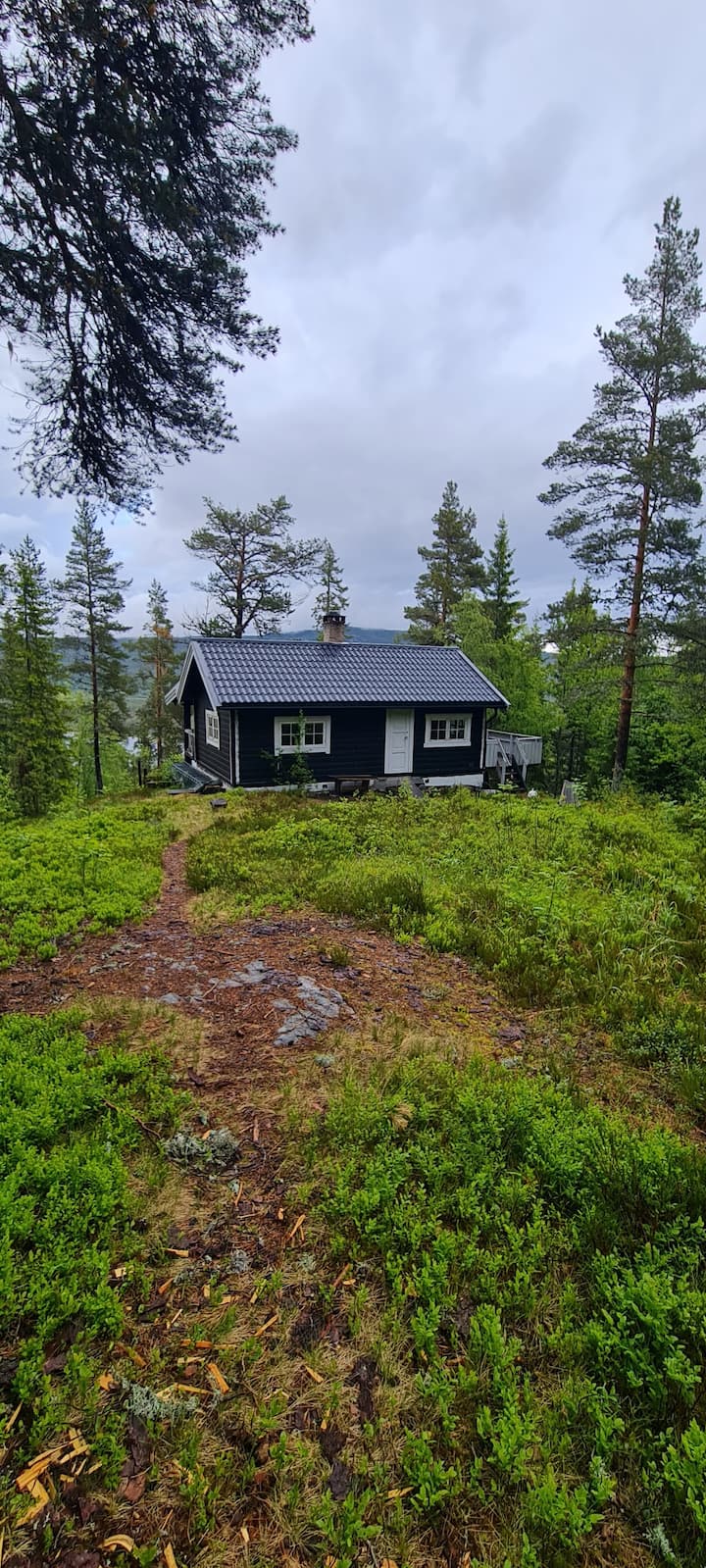 Hytte I Kongsberg, Jondalen - Norway