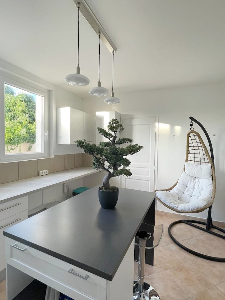 Le Zen - Champigny-sur-Marne
