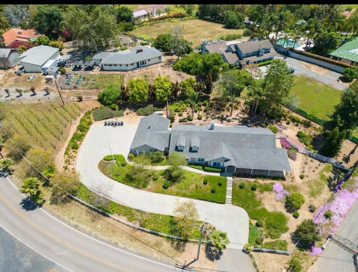 Vineyard, Wine And Beach Loving - Fallbrook, CA