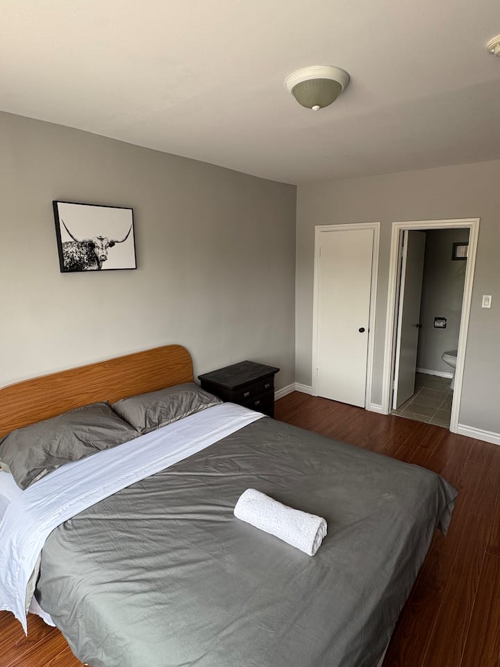 Spacious Sunny Suit-207 - Niagara Falls, NY