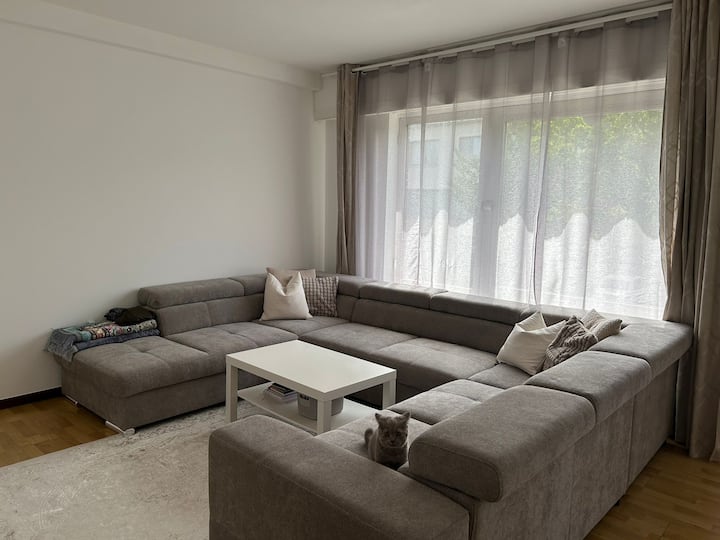 Tomorrowland App. Met Transport - Boom