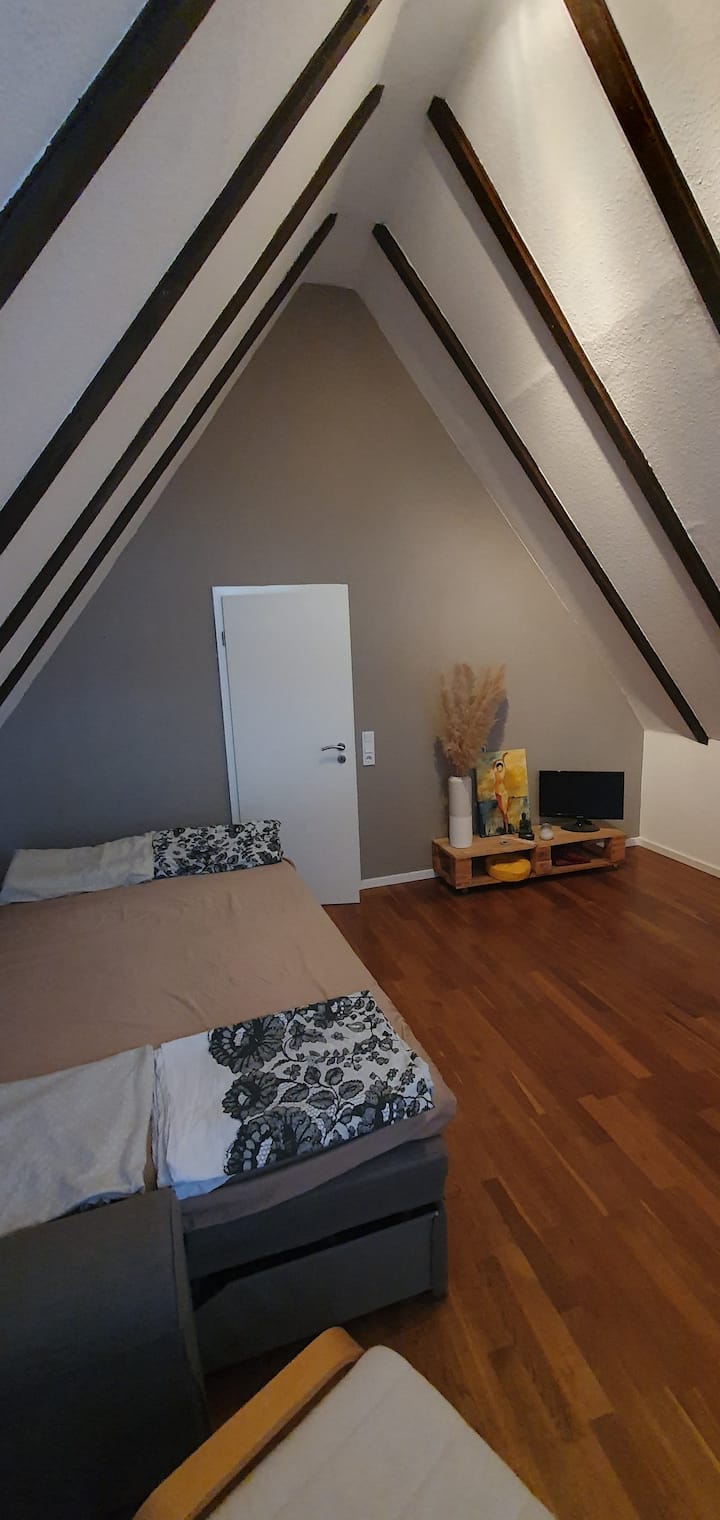 Großzügiges Studio Mit Balkon - Francfort