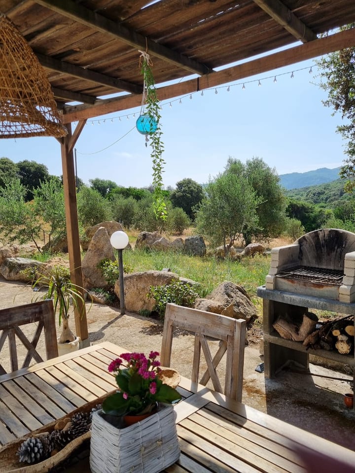 Relax Tra Natura E Tranquillità, Vicino A Olbia - Monti