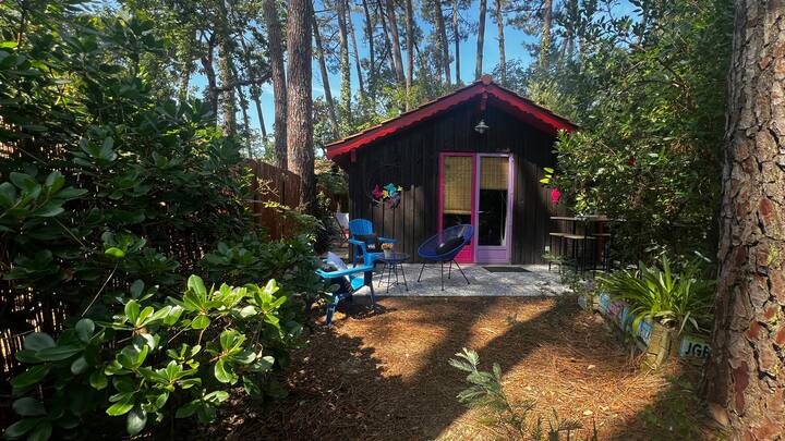 Le Cabanon Et Les Pins - Lacanau