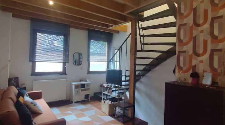 Duplex Centre-ville Montois - Mons