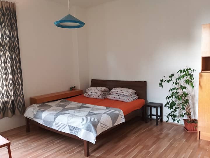 Cozy Flat Close To The Center - Prag