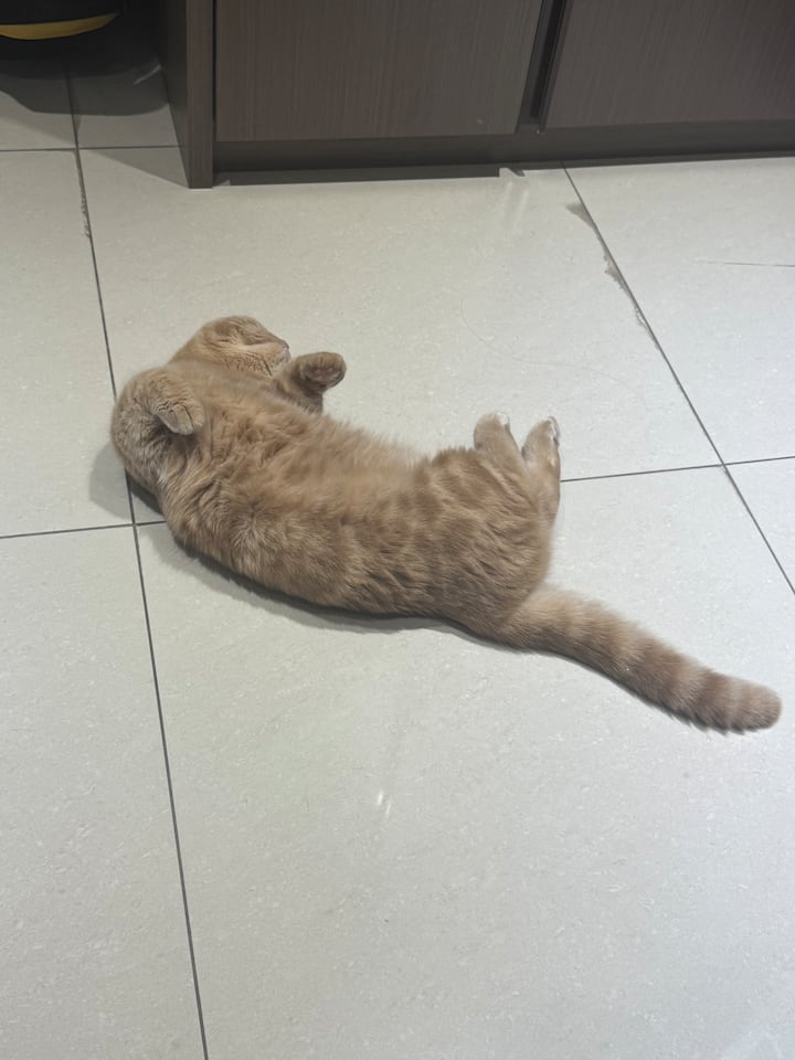 Mini Home - Taoyuan City