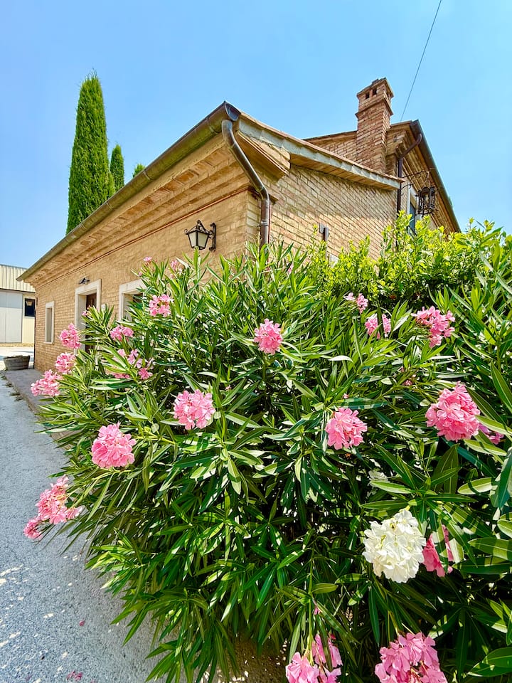 Casa Loleandro - San Quirico d'Orcia