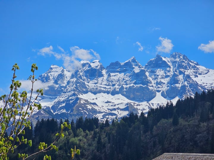 Ski-in/ski-out · Portes Du Soleil · Vue Montagne - Champéry