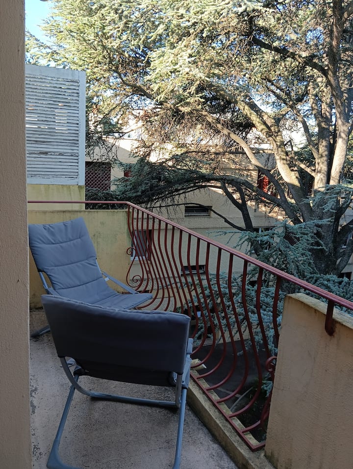 Appartement - Avignon