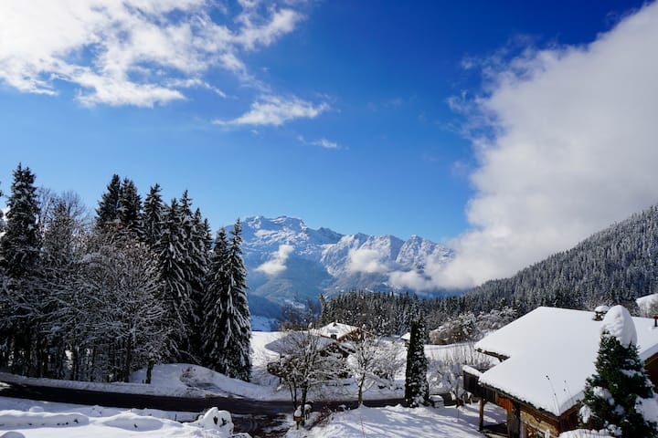 Mccanna Lodge - Manigod Slopes - Manigod