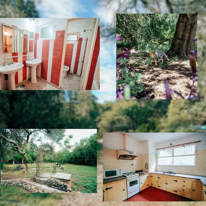 “Cabañas Nuestro Refugio” - Merlo