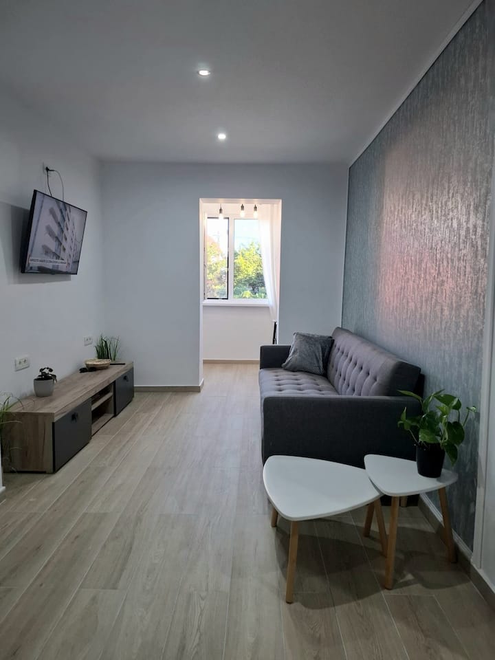 Anatolí Apartment Sulina - Sulina