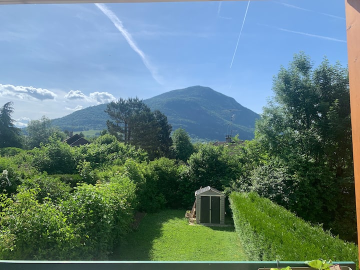 Chambre 2-4p Annecy Le Vieux - Pringy