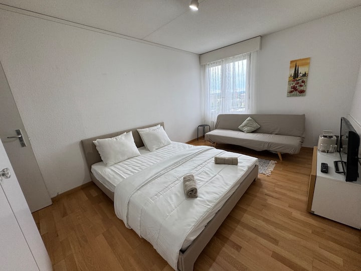 Comfortable House In Bern City - Bern