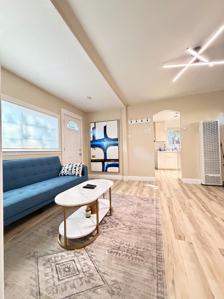 Old Downtown Mt View Pets Welcome - Mountain View, CA