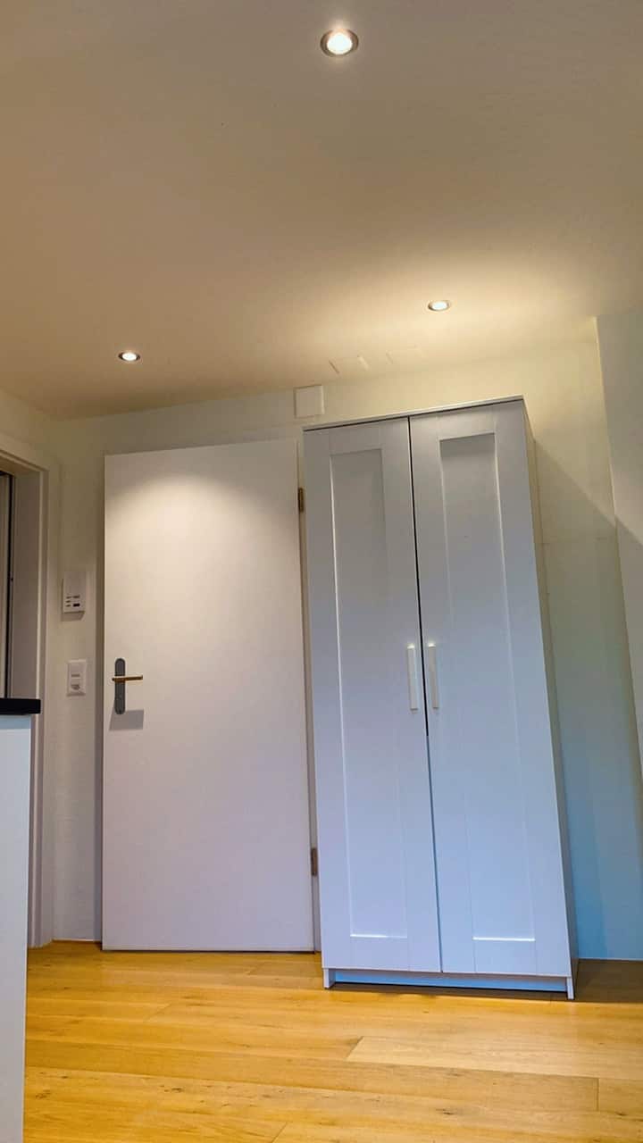 The Whole Apartment Is Yours. - Luzern