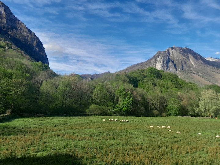 Bienvenue Au Gîte Coste Mariou - Vallée d'Aspe