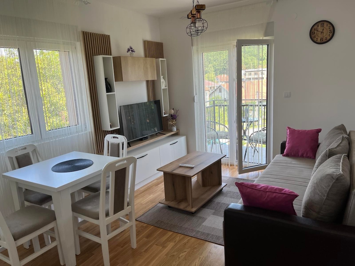 Bienvenue dans l'appartement Gorsky - Appartements à louer à Lipova ...