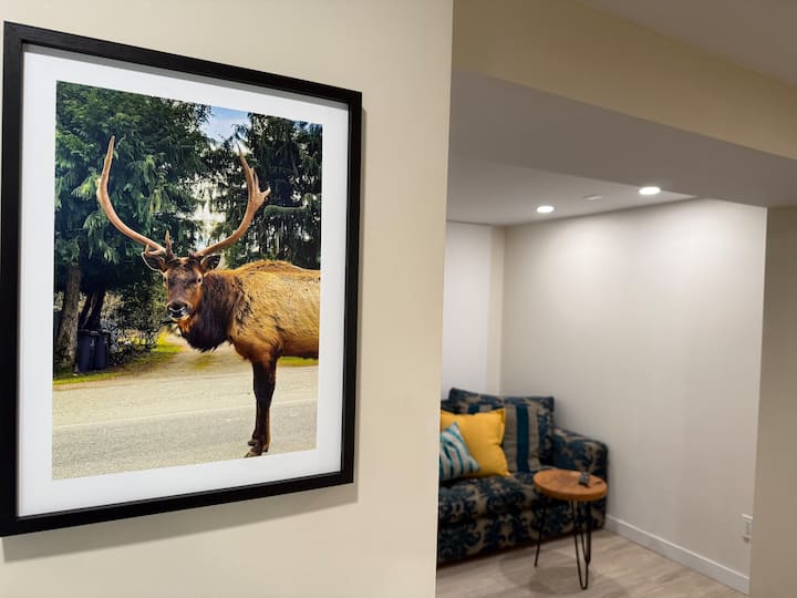 Cozy Youbou Suite Where Elk Visit The Backyard! - Lake Cowichan