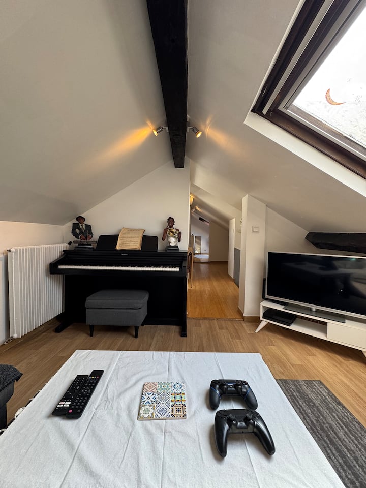 Sous Les Toits De Paris - Paris 15e Arrondissement