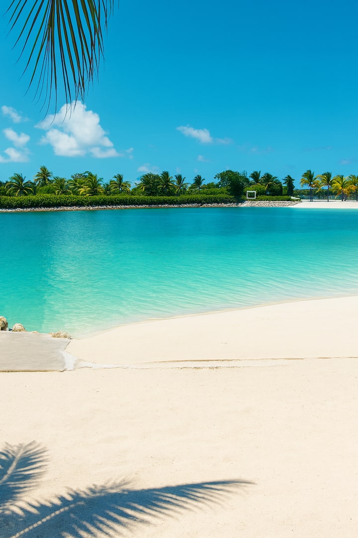 Apto Familiar 2hab, Playa Y Piscina En Punta Cana - Punta Cana