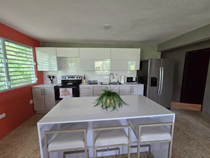 Rainforest Reserve / El Yunque - Porto Rico