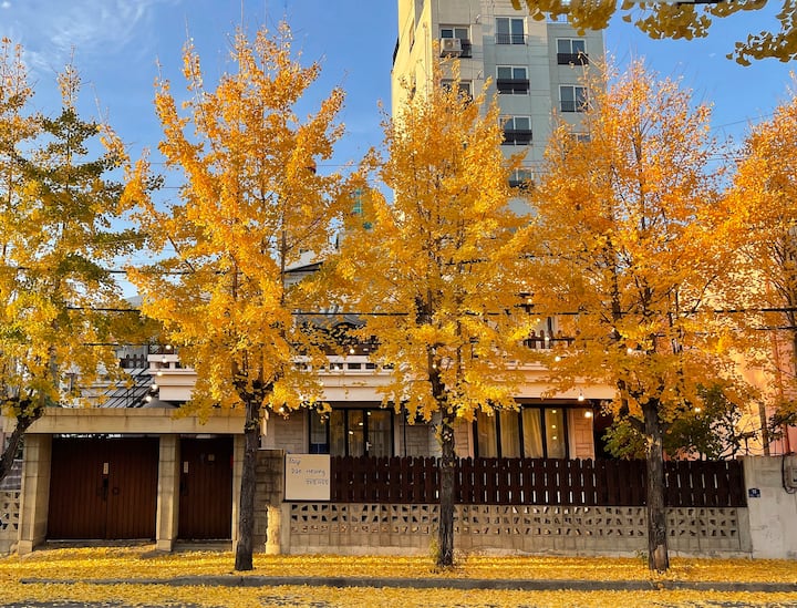 11월특별할인/45평/바베큐/단독테라스/10명/짐보관o/주차o/야구장/성심당/대전역/ - Daejeon