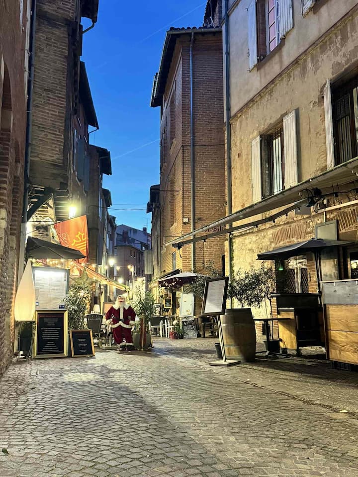 Appartement Touristique, Proche De La Cathédrale - Albi