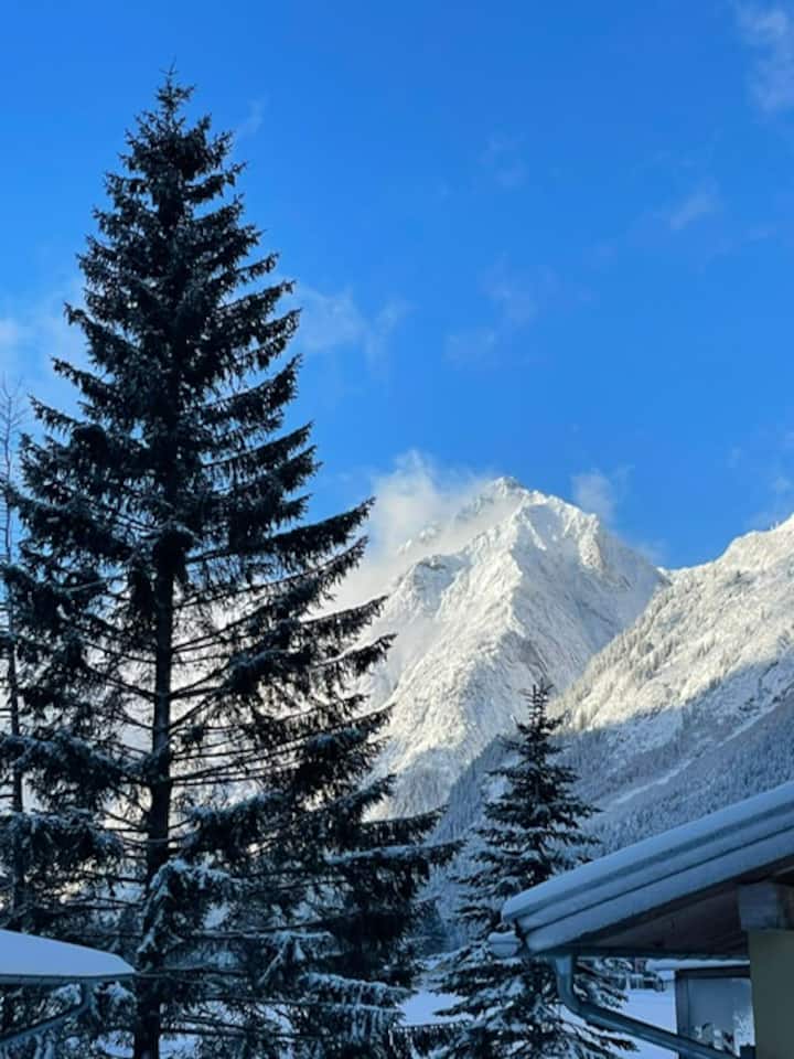 Viva Apartment Wetterstein (Mit Terrasse) - Mittenwald