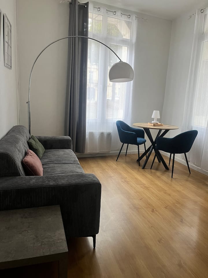 Appartement Hyper-centre Caen « Ailé » - Caen