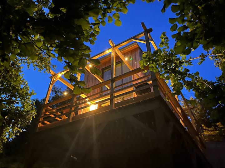 L'observatoire Sauvage - Amboise