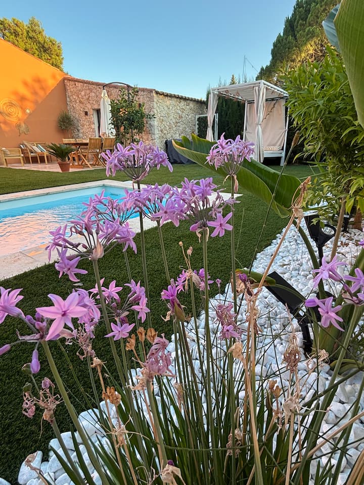 Mini Villa En Pierre Avec Piscine Privée - Le Beausset